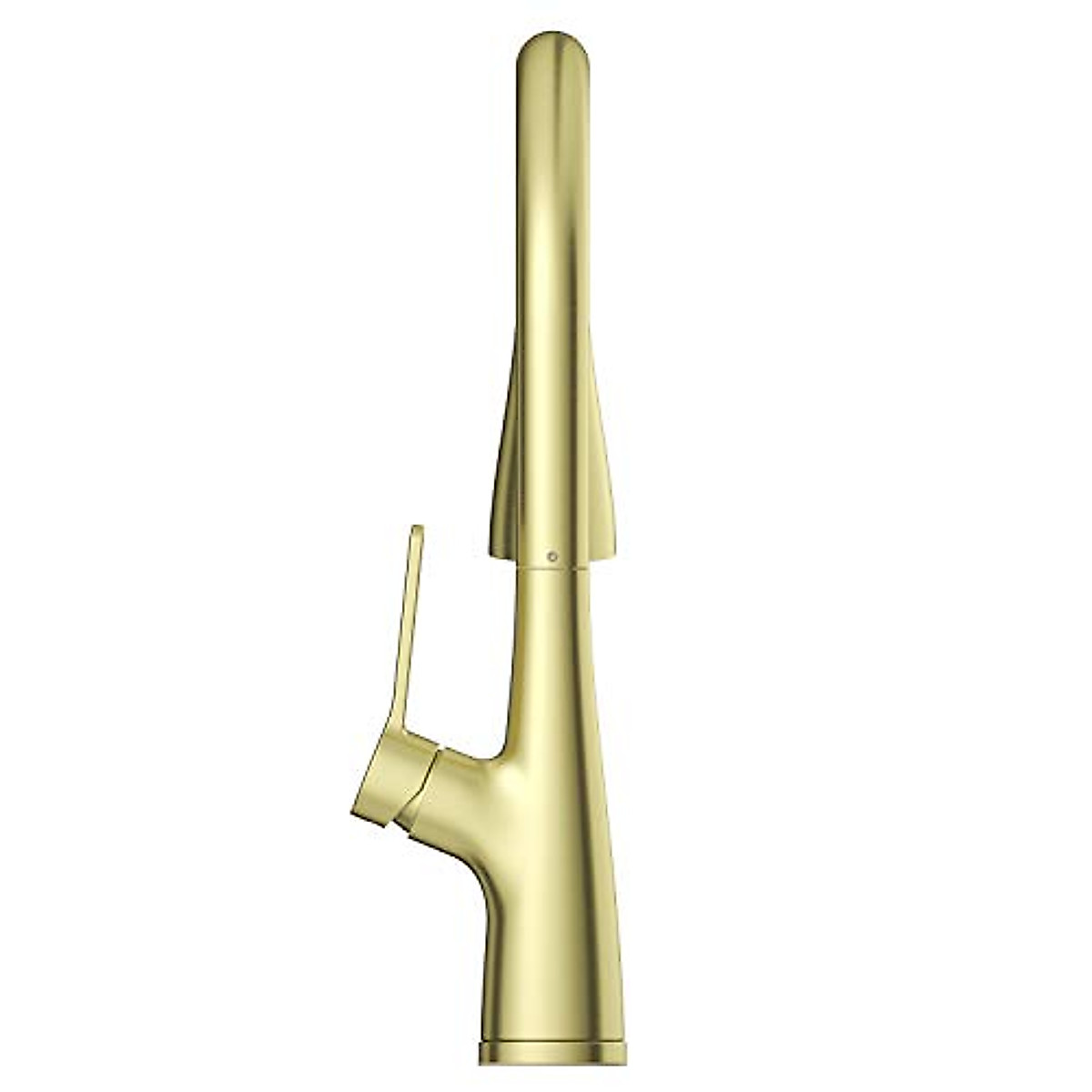 Pfister LG529-NEBG Neera Pull Down Kitchen Faucet, Brushed Gold