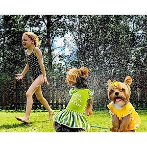 XPUDAC 4 Pieces Dog Dress Girl Dog Clothes for Small Dogs Girl Flower Dog Dresses for Small Dogs Apparel Colorful Small Dog Clothes Female (X-Small, 4 Flower)