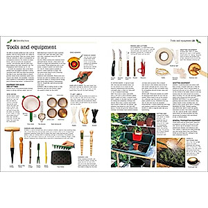 Propagating Plants: How to Create New Plants for Free