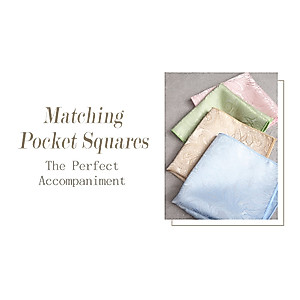 TaecMin Sage Tie Dusty Green Ties for Men Paisley Neckties and Pocket Squares Set for Weddings