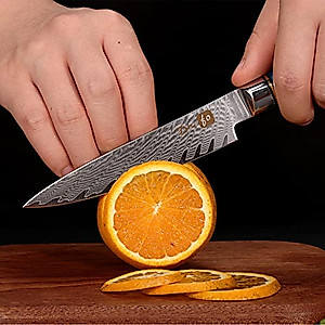 Cloverpeia Utility Knife 5 inch, Paring Knife Japanese Damascus Steel Kitchen Knife VG10 Full Tang Resin&Wood Handle with Gift Box, Fruits and Vegetables Chopping Carving Knives