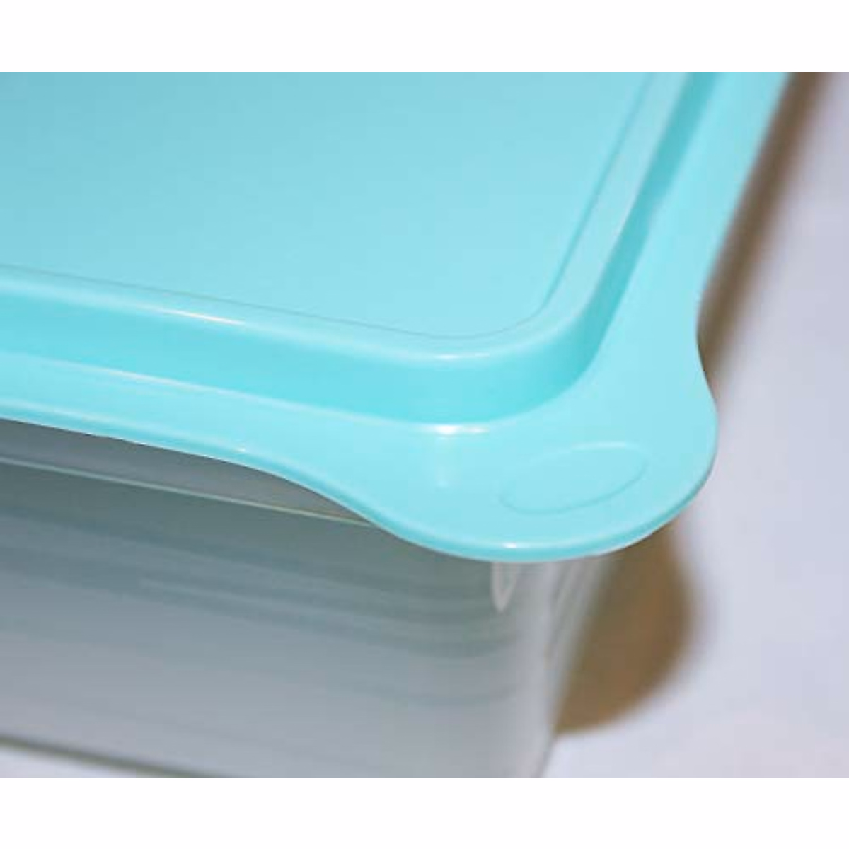 Tupperware Snack and Store Square Container Frosted Sheer and Mint
