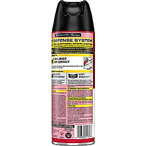 Raid Ant and Roach Killer, Fragrance Free, 17.5 OZ