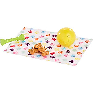 Barbie Pets and Accessories, Interactive Wagging & Nodding Puppy Playset with Pet Bed, 11 Total Animal-Themed Pieces