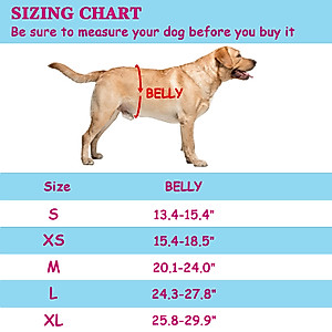 yrenoer Dog Panties for Dogs in Heat, Reusable Female Dog Pants to Prevent Cross-Tailing. Washable Dog Underwear to Protect Female Dogs from Male Dogs (L, Black)