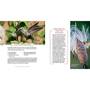 Mini Meadows: Grow a Little Patch of Colorful Flowers Anywhere around Your Yard