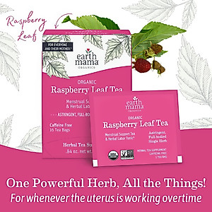 Earth Mama Organic Raspberry Leaf Tea Bags |Labor Tonic + Menstrual Support, 16 Teabags Per Box (3-Pack)