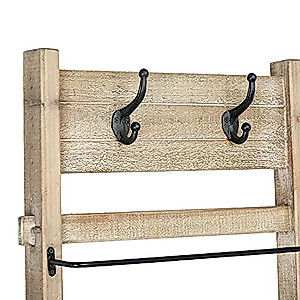 Creative Co-Op Fir Wood Wall Metal Bar and 2 Hooks Decorative Ladder, Natural