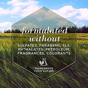 Burt's Bees for Cats Hypoallergenic Shampoo With Shea Butter & Honey | Moisturizing & Nourishing Cat Shampoo | Cruelty Free, Sulfate & Paraben Free, pH Balanced for Cats - Made in USA, 10 Oz - 2 Pack