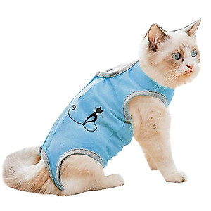 PJDDP Cat Recovery Suit,Cat Professional Surgical Recovery Suit,Abdominal Wound Protector,E Collar Alternative for Cat,After Surgery Wear Anti Licking Wounds,Blue,XL