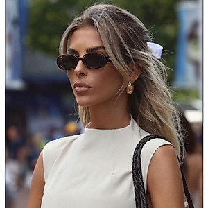 BRMHDY Retro Oval Sunglasses for Women 90s Vintage Womens Tiny Small Oval Glasses Fashion Black Cat Eye Shades (Leopard/G15)