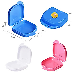 AMHDV 3pcs Orthodontic Retainer Case with Vent Holes Cute Mouthguard Container Dental Aligner Case with Aligner Removal Tool and Brush (01-flower)