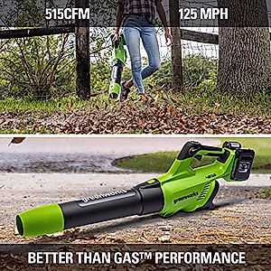 Greenworks 2 x 24V (48V) Cordless Axial Leaf Blower (125 MPH / 515 CFM / 125+ Compatible Tools), (2) 2.0Ah Batteries and Dual Port Charger Included