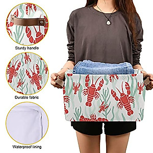 Lobster Storage Basket Set of 2 Large Fabric Beach Storage Basket Bins Box Cube with Handles Collapsible Closet Shelf Clothes Organizer Basket for Nursery Bedroom