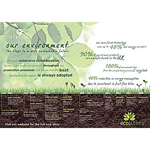 Churchill Blue Willow Fine China Earthenware Oval Dish 12.5", Made In England