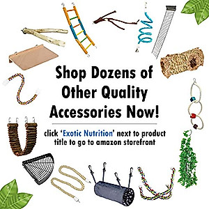 Push & Play Toy - Interactive Rolling Noisemaker Foraging Jingle Ball Cage Accessory - For Sugar Gliders, Rat, Chinchillas, Hedgehogs, Ferrets, Parrots, Guinea Pigs, Rabbits, Degus, & Other Small Pets