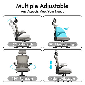 Apusen Ergonomic Office Chairs with Adjustable Lumbar Support,Mesh Desk Chair with Adjustable Arms and Wheels,Computer Desk Chair for Home Office Essentials（Headrests,Black）