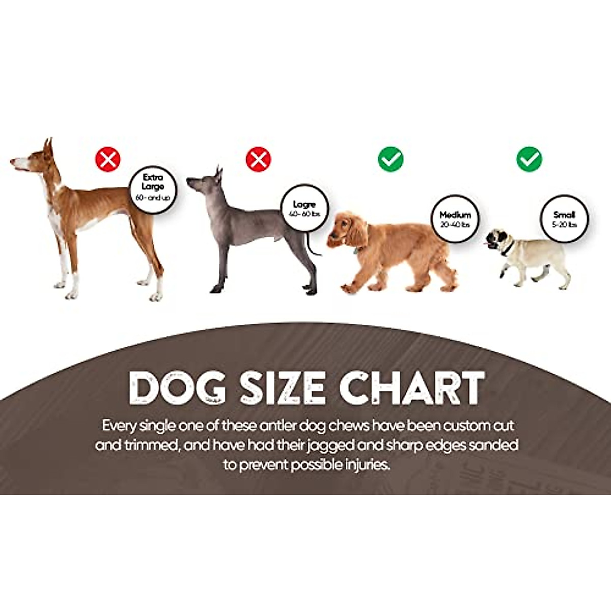 WhiteTail Naturals| USA Prime Split-Cut Elk Antlers for Dogs | 3 Pack Small | All Natural Dog Chews | Naturally Shed, Cruelty-Free- Half Antler Horn Chew Toy