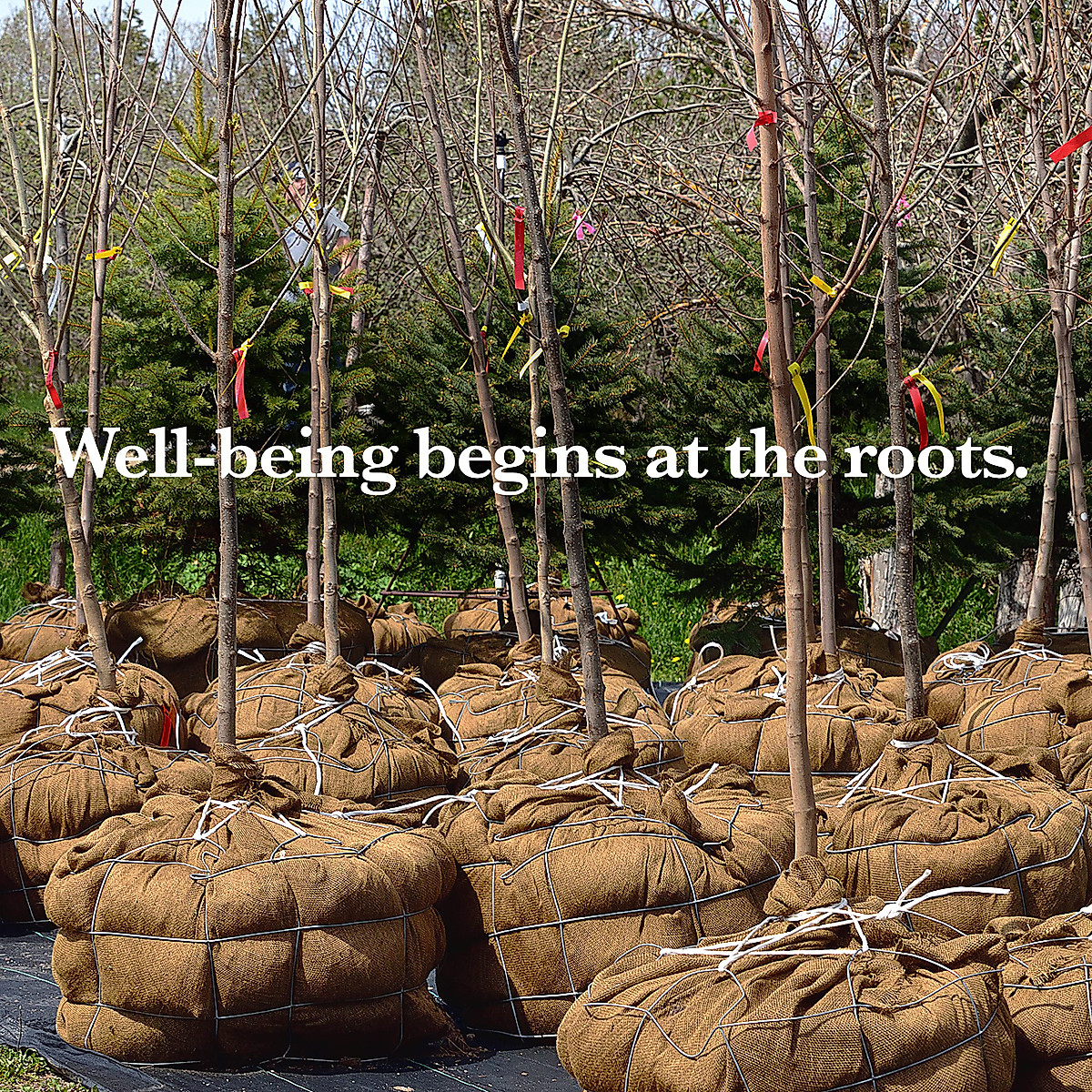 Burloptuous 40" x30 Feet Gardening Burlap Roll - Multipurpose Natural Burlap Fabric, High Density Jute Fiber Material for Decorations, Center Pieces for Home, Rustic Party Décor