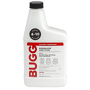 BUGGSLAYER Insecticide Concentrate 16-oz