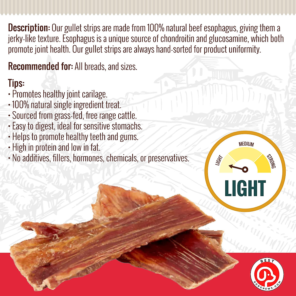 Best Dog Chews Beef Gullet Strips for Dogs and Puppies Beef Jerky Treats Chews Naturally Rich in Glucosamine & Chondroitin 100% Real Beef Strips Best Dental Treats-Rawhide Free 6 inch(12 Count)