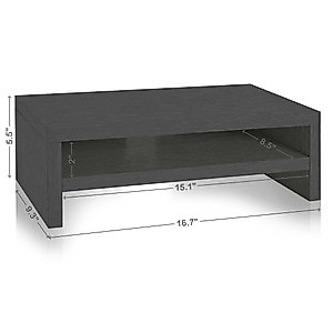 Way Basics Monitor Stand for Office Gaming Desk Laptop PC Riser - 2 Tier (Charcoal Black)