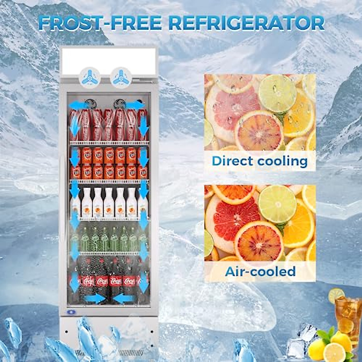 HIPOPLLER Refrigeration Glass 1 Door Upright Display Beverage Cooler Merchandiser with LED Lighting; 10.9 Cubic Ft., Silver