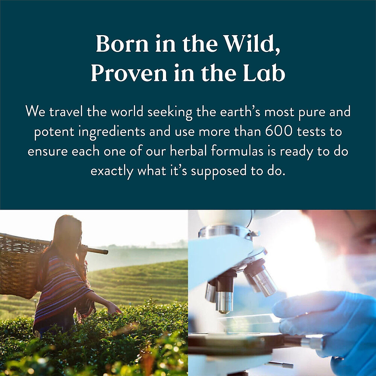 Nature's Sunshine Bee Pollen, 100 Capsules | Has a Strong Nutritional Profile that Offers a Natural Energy Boost