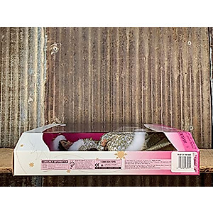 Winter Fantasy Barbie Brunette Sam's Club Exclusive Mattel #15530 1995