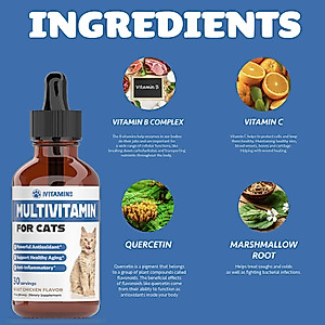 Cat Multivitamin - Supports Immune Health, Skin, Coat, Heart Health & More - Cat Vitamins - Cat Supplements & Vitamins - Cat Vitamins for Indoor Cats - Kitten Vitamins - Cat Immune Support - (1)