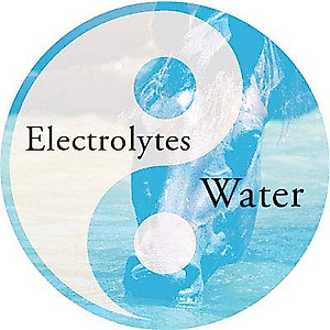 Horse Quenchers Apple Jug, 13 Pounds