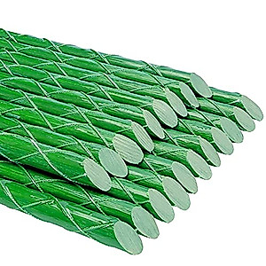 Eco Friendly 4-FT Fiberglass Garden Stakes, Tomato Stakes, Plant Stakes (Pack of 20), 0.31-Inch Dia