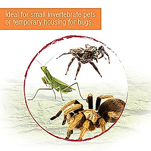 Zilla Micro Habitat Terrarium Enclosure for Small Tree Dwelling Reptiles, Amphibians, Spiders & Other Invertebrates, Small