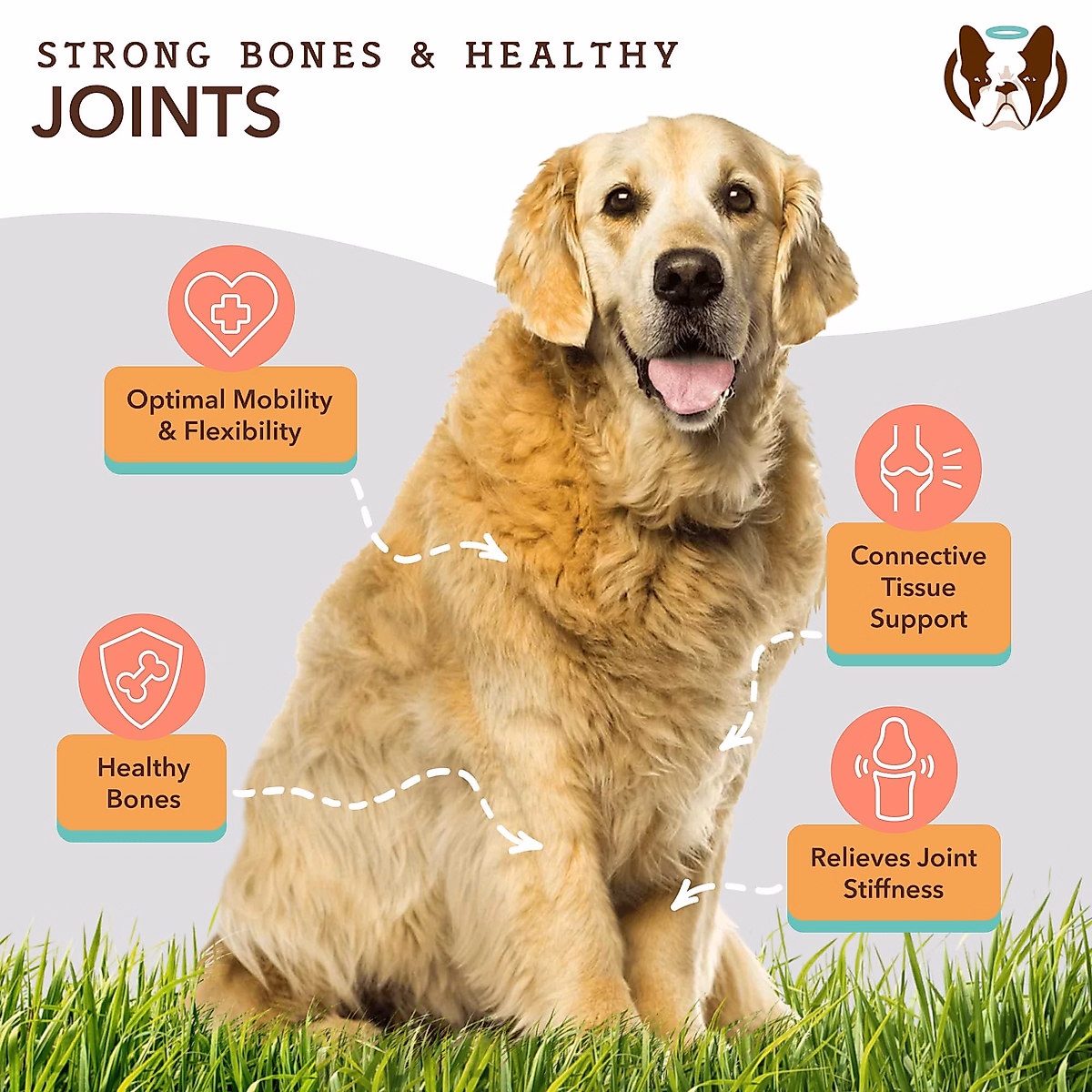 Natural Dog Company Multivitamin Chews for Dogs Bundle, Total Health Boost with Hip & Joint Chews, Liver & Kidney Chews, Essential Dog Multivitamins for Joint Support and Organ Health