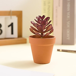 Fcacti 12 PCS Small Mini Clay Pots with Drainage Holes for Plants,2.5inch Terra Cotta Pot Clay Ceramic Pottery Planter,Succulent Nursery Pot/Cactus Plant Pot,for Indoor/Outdoor Plants,Crafts