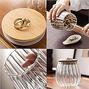 HongDream Glass Jars Canister Airtight Storage Container with Lid Metal Handle Small Glass Food Jars and Canisters Sets for Coffee Tea Spice 2 Pcs