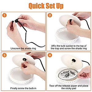 Flea Trap, 2 Pack Sticky Flea Traps for Inside Your Home with 4 Sticky Discs & 6 Bulbs, Shell Shape Electric Flea Light Killer Bed Bug Trap, Natural Indoor Pest Control for Home, Safe to Pet & Child