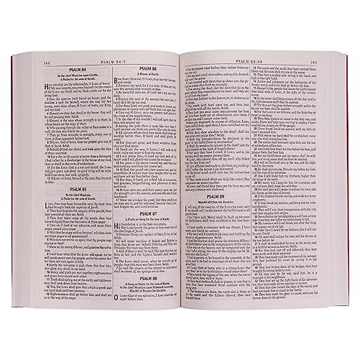 KJV Holy Bible, Gift and Award Bible - Softcover, King James Version, Burgundy (KJV Gift Award Editions)