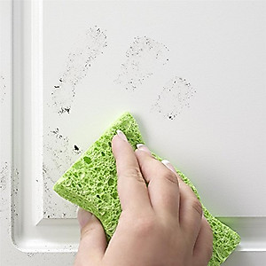 SystemBuild Kendall 1 Drawer/2 Door Base Storage Cabinet 24" - White