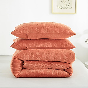 Cupocupa Velvet Duvet Cover Queen Set Grey Comforter Cover 3Pcs Ultra Soft Cover Breathable Luxury Flannel Velour Duvet Cover Zipper Closure Corner Tie Queen Terracotta