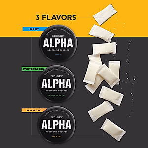 Fully Loaded Alpha Nootropic Pouches (Mint) - 5 Cans - 15 Pouches per can - Effective Nootropic Delivery, Nic Pouch Replacement - Faster Absorption, Alpha GPC, L-Tyrosine, GABA
