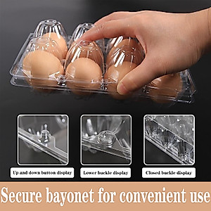 QXBXYHM Plastic Clear Egg Carton for 8 Eggs, 20packs Egg Tray Reusable Medium Size Egg Cartons Perfect, Clear Empty Chicken Egg Tray Egg Holder for Family Pasture Farm Market