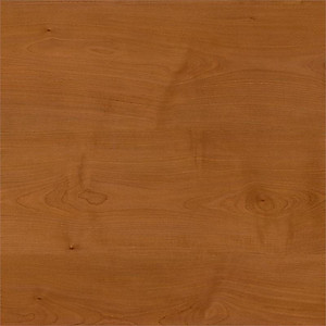 Bush Furniture Universal Small 2 Shelf Bookcase in Natural Cherry