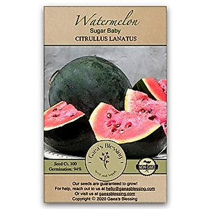 Gaea's Blessing Seeds - Sugar Baby Watermelon Seeds (3.0g) Non-GMO Seeds with Easy to Follow Planting Instructions - Heirloom 94% Germination Rate