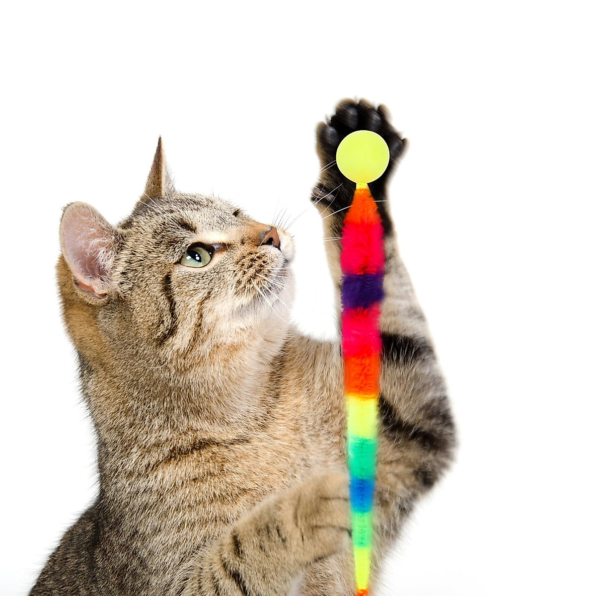 SUBANG 6 Pieces Bouncy Ball with Tail Cat Toys Magic Worm Toys Cat Toy Worm Bouncy Balls for Cats