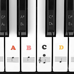 WHOMYA Bastien Piano Basics Level 2 Learning Set by Bastien - Lesson, Theory, Performance, Technique & Artistry Books & Juliet Music Piano Keys 88/61/54/49 Full Set Removable Sticker…