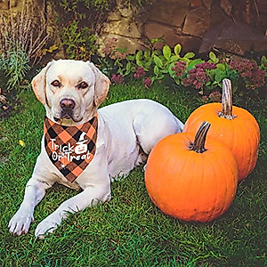 ADOGGYGO Halloween Dog Bandanas, Classic Plaid Dog Scarf Bib, Premium Cotton Fabric, Multiple Sizes Offered, Halloween Bandanas for Small Medium Dogs Pets (Small, Halloween)