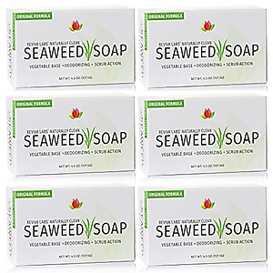 Reviva Seaweed Soap - 6 Pack - Organic Seaweed Face Scrub and Exfoliating Body Scrub Soap Bar - 4.5 oz. Vegetable Base Natural Bar Soap and Seaweed Bath Detox Soap Made in the USA