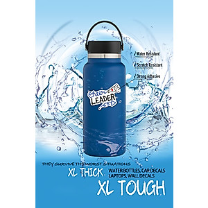 Cheer Stickers - Perfect Cheer Gifts for Cheerleaders - Waterproof, Durable 100% Vinyl - Anywhere You Need Cheer Stickers for Water Bottles, Laptop, Car Decal, Party Giveaways