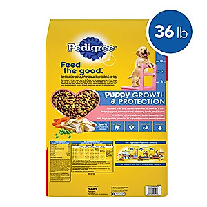 PEDIGREE Puppy Growth & Protection Dry Dog Food Chicken & Vegetable Flavor, 36 lb. Bag